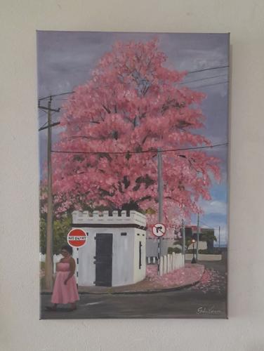 The Lady in Pink and The Poui | Features Local | trinidadexpress.com
