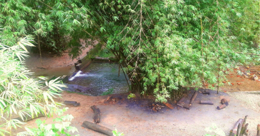 Prison officer takes gun to Caura River lime, and it is stolen | News ...