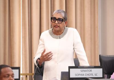 ‘A frightening possibility’: Chote slams move to let JPs issue warrants ...