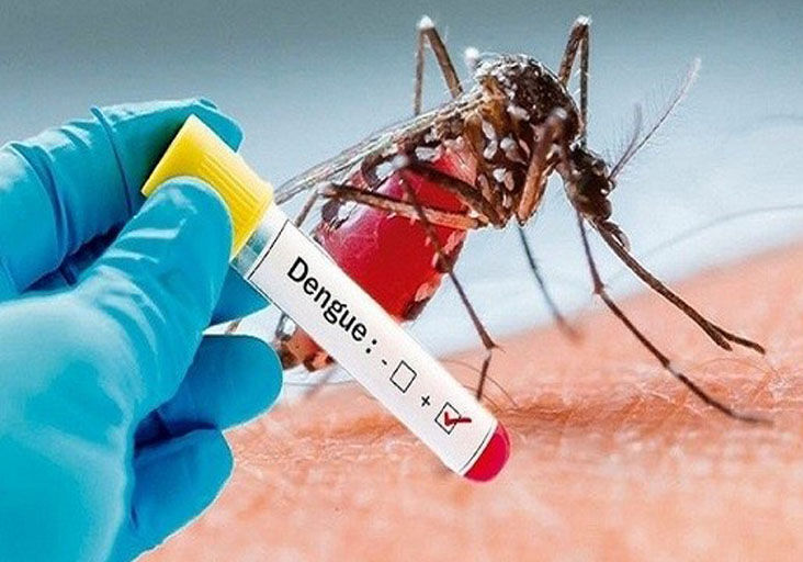 Ministry confirms 1,053 dengue cases | Local News | trinidadexpress.com