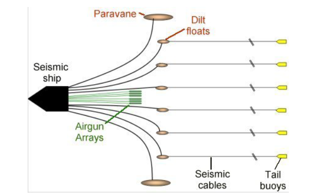 MANZANILLA MYSTERY SOLVED | News Extra | trinidadexpress.com