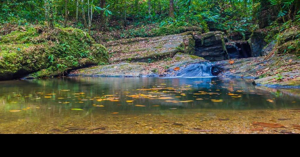 Hike to scenic Caura Valley this weekend | Local News | trinidadexpress.com