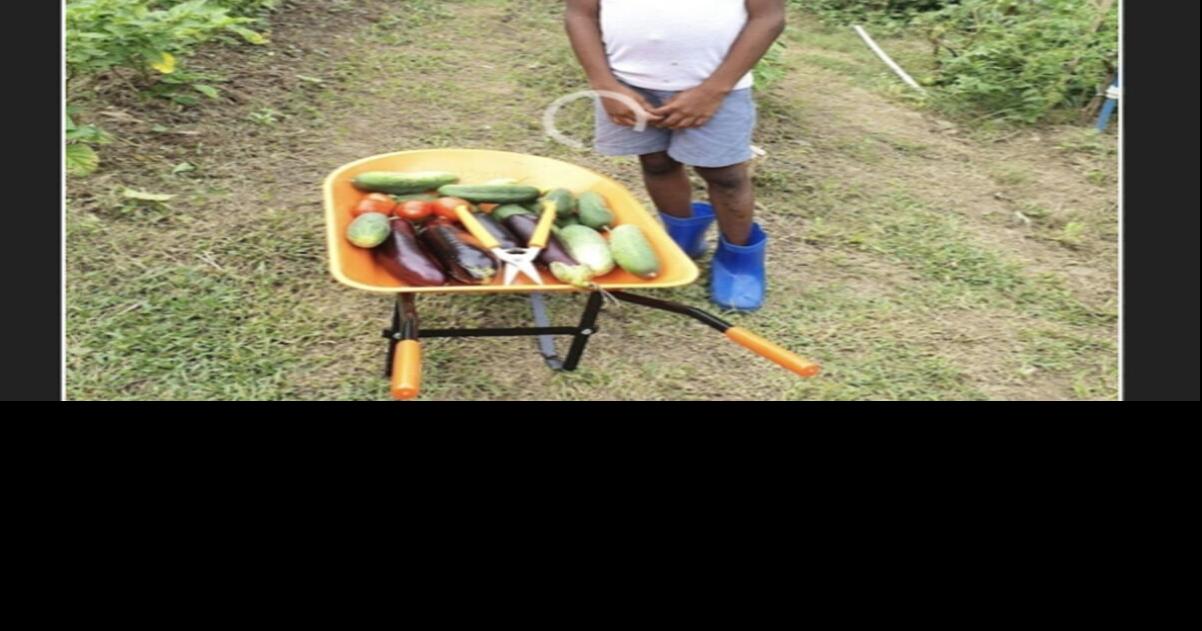 Jhaylen gets Youth of the Year award | Local News | trinidadexpress.com