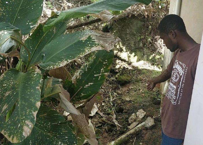 The murder of a 44-year-old grandma | News Extra | trinidadexpress.com