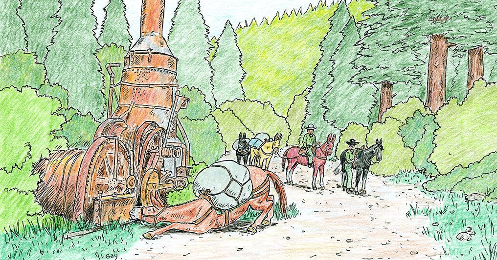 IVAN, Trinity Pack Mule | Ivan Trinity Pack Mule | trinityjournal.com