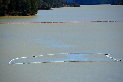Ruth Dam Spill raises questions as testing continues | Environment ...