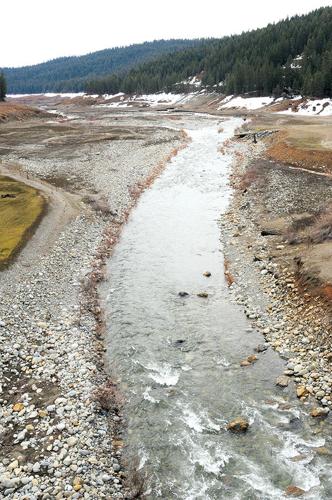 A Wet Year upon us | Local News | trinityjournal.com