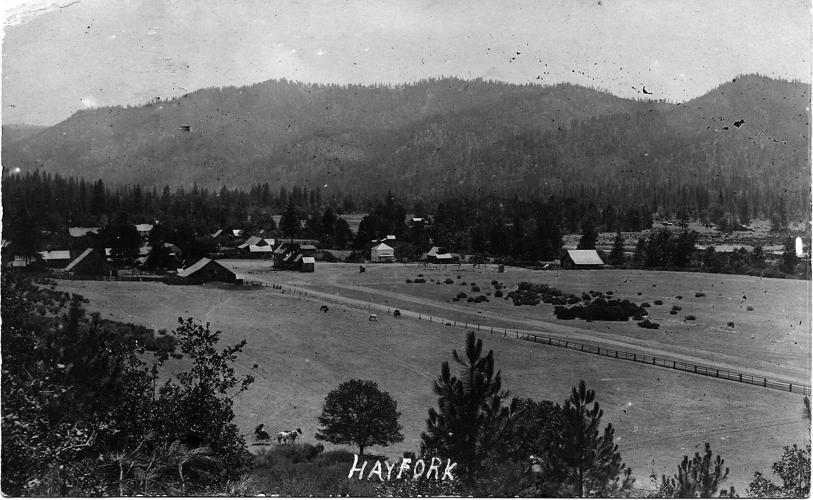 The News Back Then | Columnists | trinityjournal.com