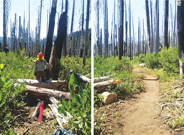 Bigfoot Trail Alliance: Clearing backcountry trails across Northern ...