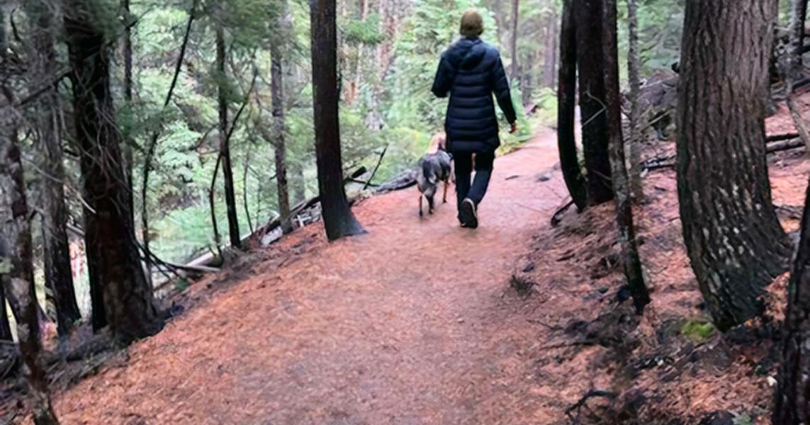 Weaver Basin Trail System topic at the next TCHS meeting | Workshops ...