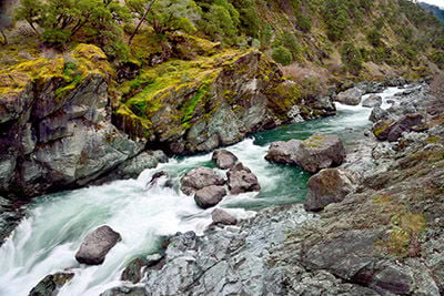 Spring wildflowers beginning to bloom | Outdoors | trinityjournal.com