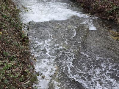 Trinity River winter flow release schedule altered | Local News ...