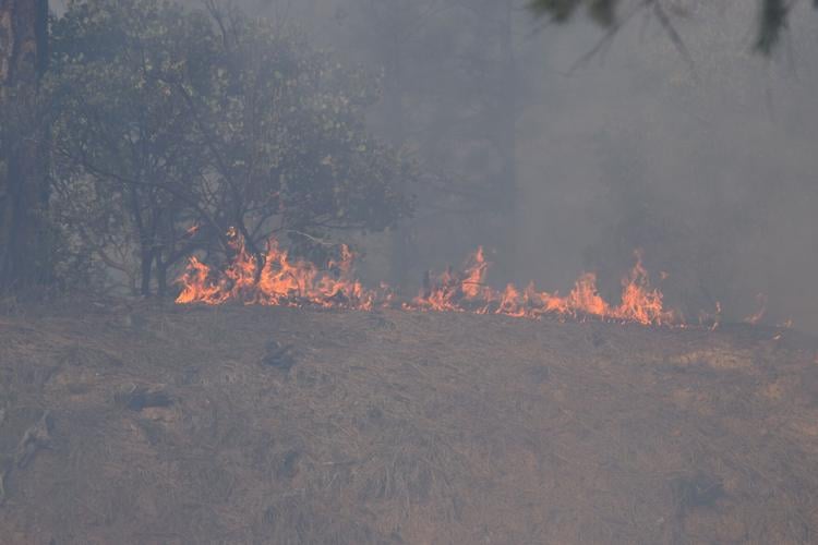 Union fire breaks out north of Douglas City just after 4 p.m. | Fire ...