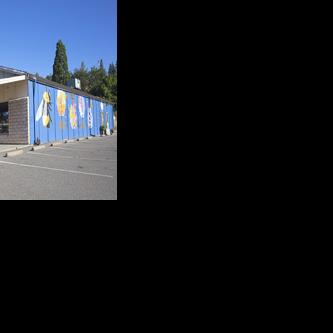 Hayfork Valley Co-op Grand Opening June 14 | Local Business ...