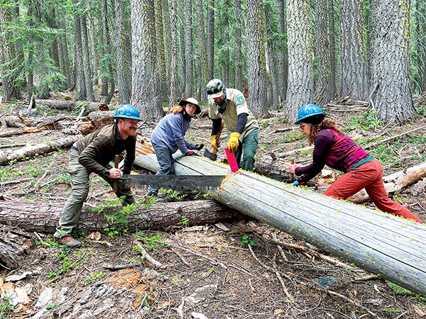 Bigfoot Trail Alliance: Clearing backcountry trails across Northern ...