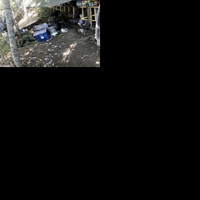 Trespass grows raided, pesticides found | Crime And Punishment ...