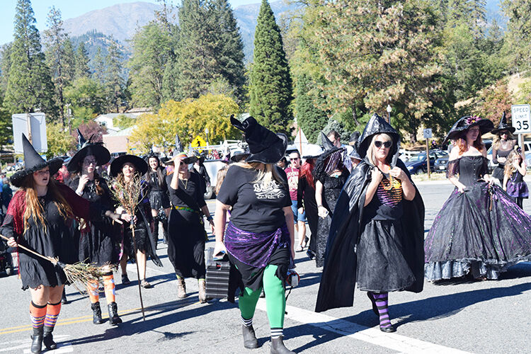 Witch Brigade brings a coven of fun | Local News | trinityjournal.com