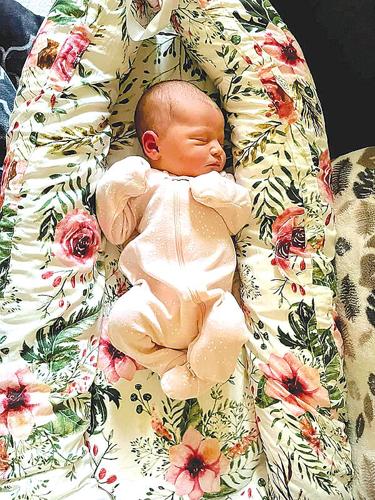 Hadley Higgins | Births | trinityjournal.com