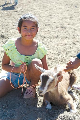 Youth animal scramble | | trinityjournal.com