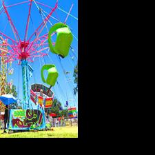 2022 Trinity County Fair a huge success | Local News | trinityjournal.com