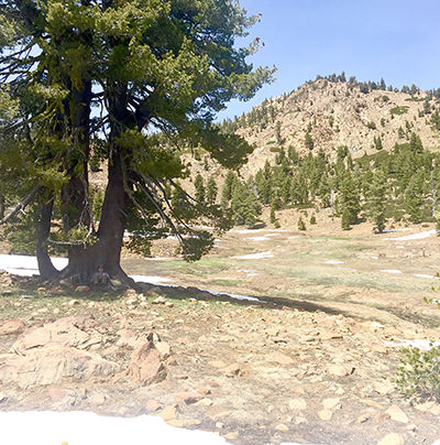 Traditional start on the Stoney Ridge Trail | Outdoors | trinityjournal.com