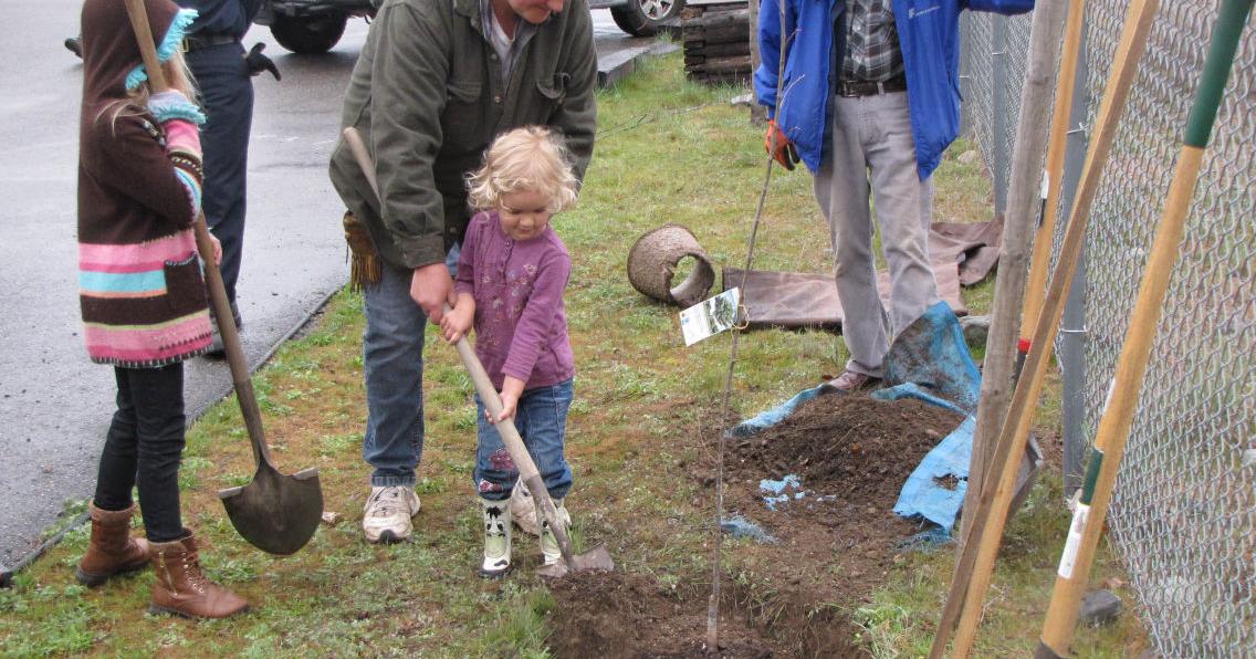 Hayfork Valley Views | Columnists | trinityjournal.com