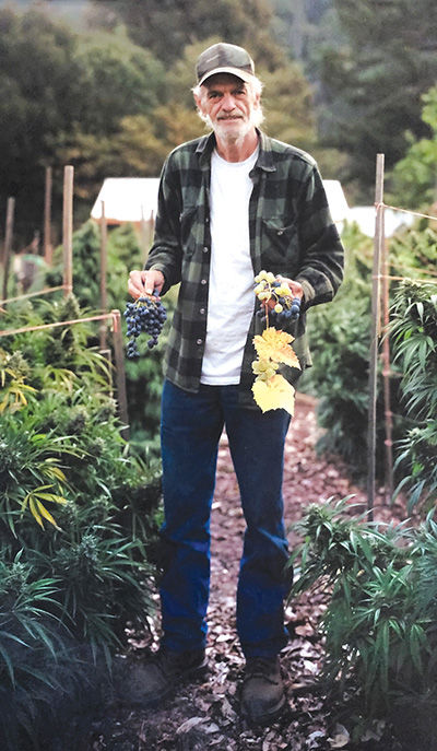 Legendary cannabis advocate, grower B E Smith dies | Local News ...