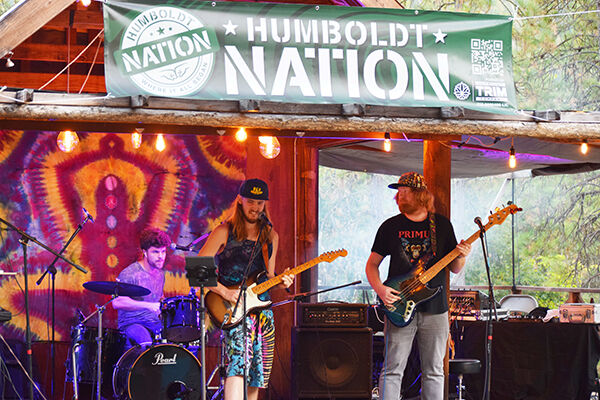 Fall into Music fills the terrace once again | Local News ...