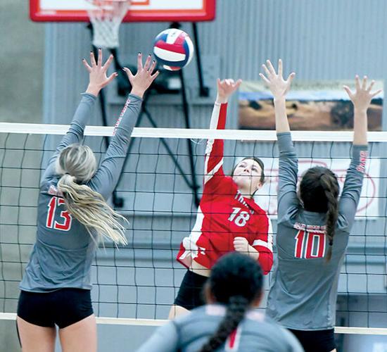 Trinity volleyball falls in state playoffs | High School Sports ...