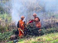 trinity county case search