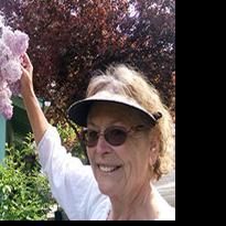 An enchanting forest garden in the beautiful Hyampom Valley ...