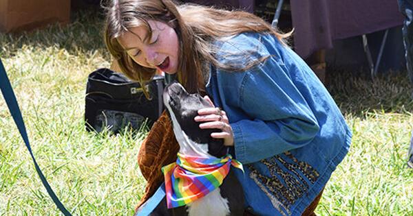 Pride Pup | Local News | trinityjournal.com