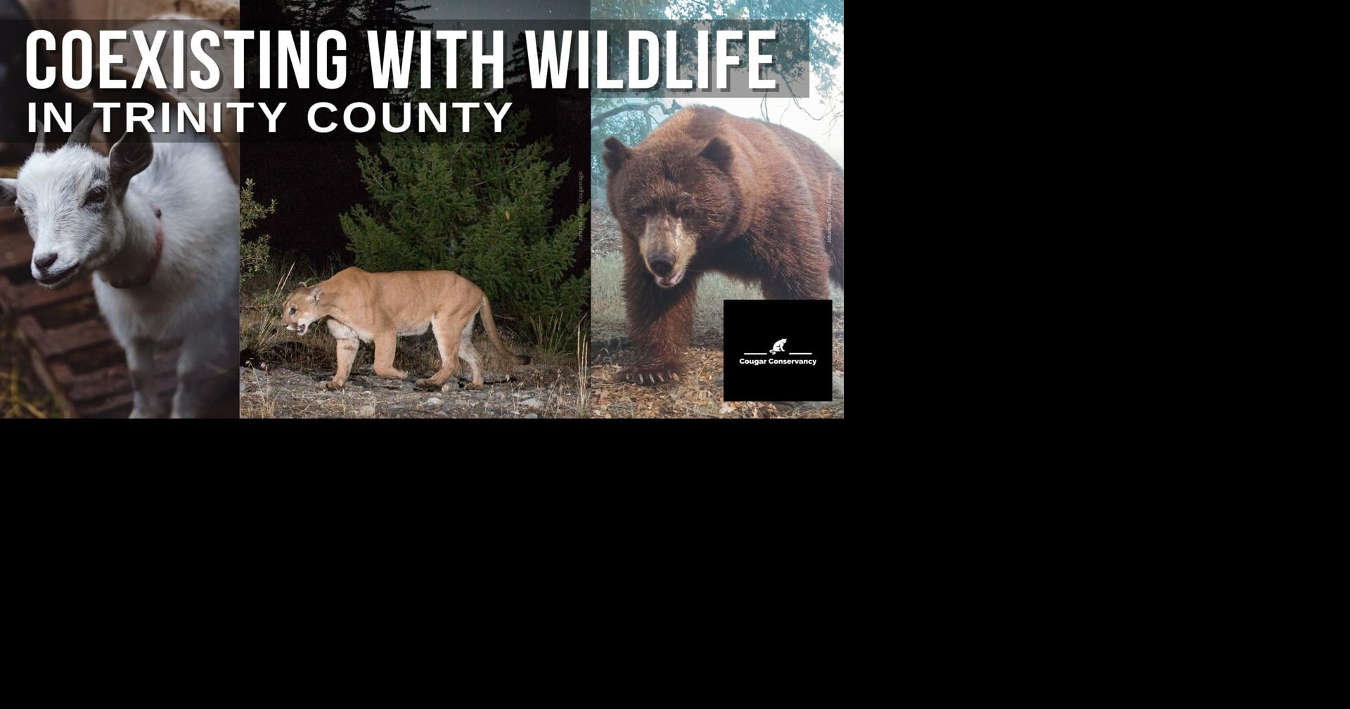 Wildlife coexistence event Tuesday | Local News | trinityjournal.com