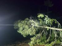 trinity county case search