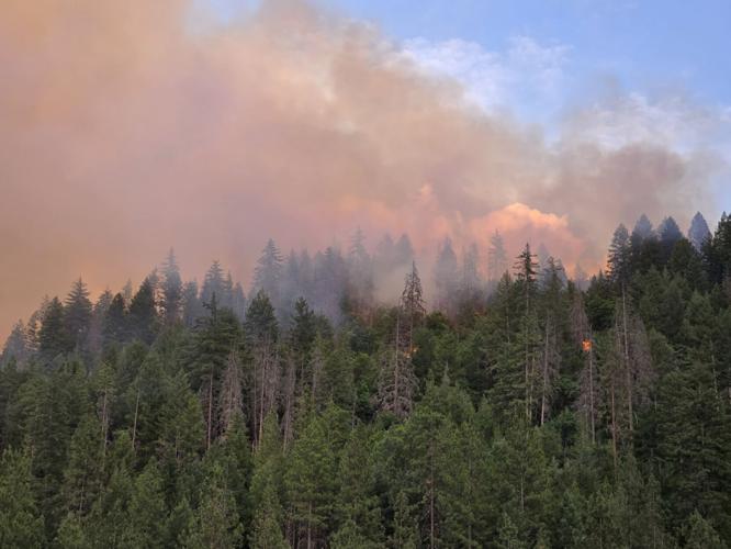 Reading fire ignites in Douglas City | News | trinityjournal.com