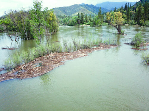 Flow variability, the pulse of a river system | Outdoors ...