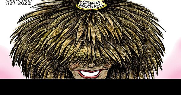 Tina Turner cartoon | Editorial Cartoons | trinityjournal.com