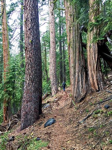 Stoney Ridge Trail perfect start to hiking season | Outdoors ...