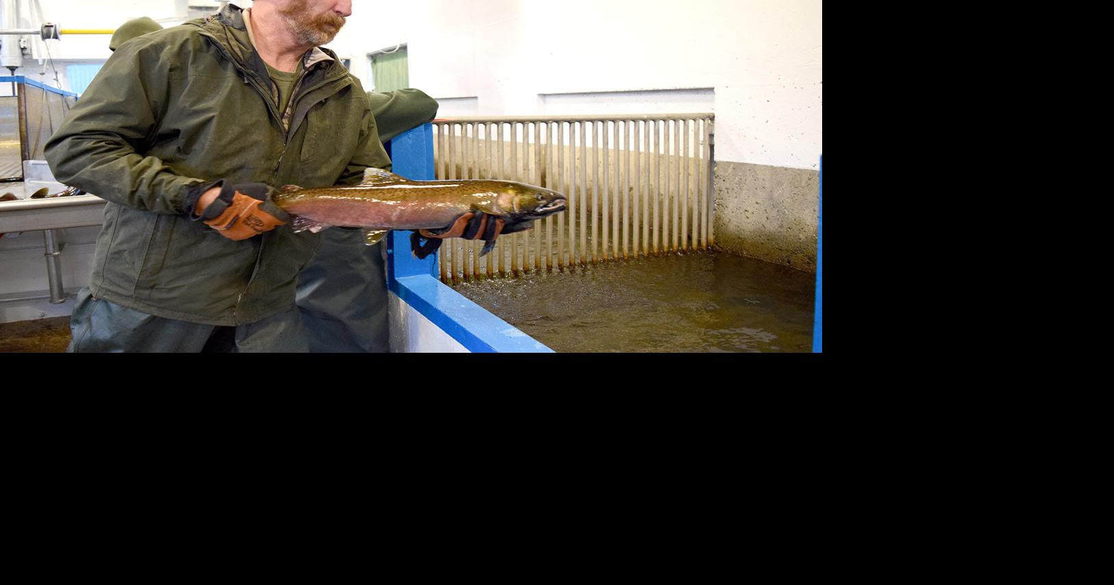 $66 million funded for Trinity River Hatchery modernization ...