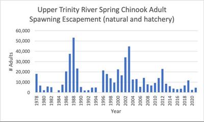 Annual salmon information meeting set for Feb. 26 | Environment | trinityjournal.com
