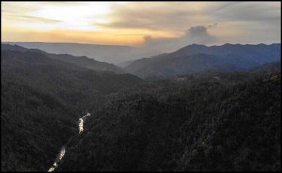 Grape fire 40 percent contained, forest closure in effect | Local News ...