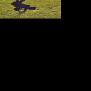 Scramble for more golfing at Trinity Alps Golf Course | Outdoors ...