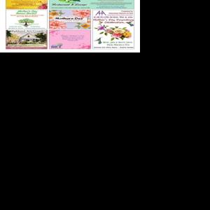 Page P3 | Trinity Journal | trinityjournal.com