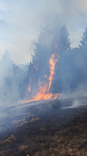 Cal Fire assists California State Parks with prescribed fire Oct. 27 ...