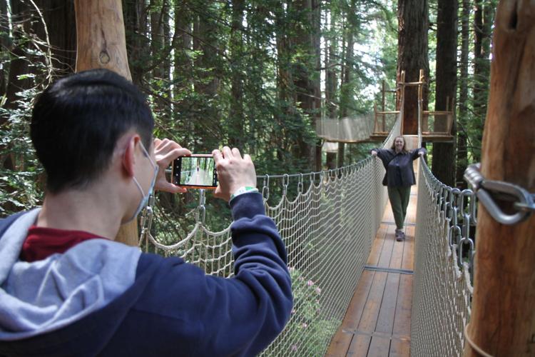 Redwood Canopy Trail now open at Trees of Mystery | News | triplicate.com
