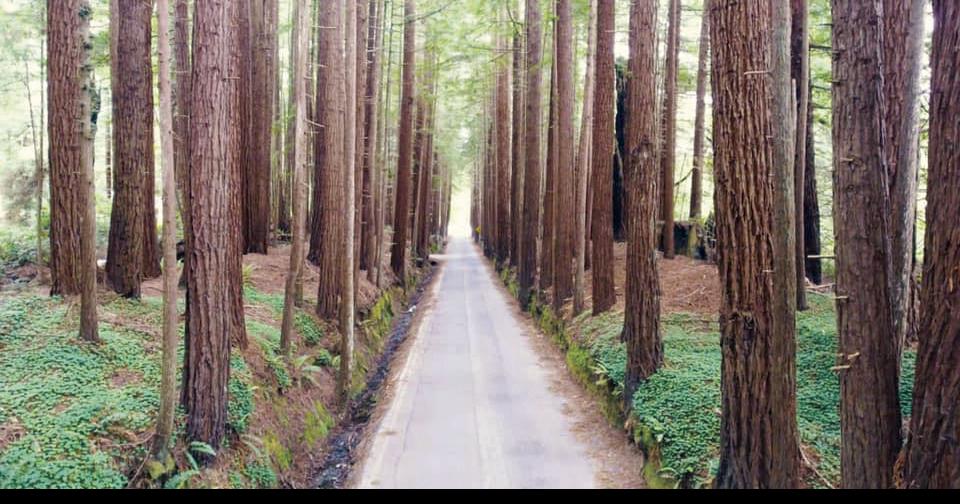 Wonder Stump Road meeting is Dec. 12 | News | triplicate.com