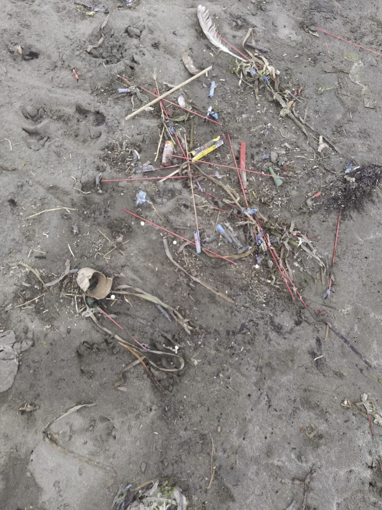 Fireworks leave devastation on the beach | News | triplicate.com