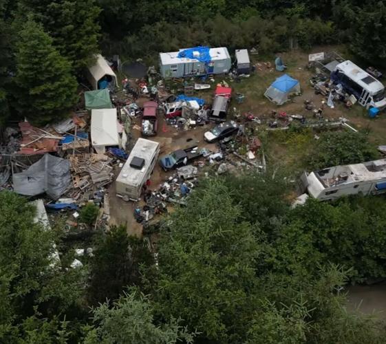 If Trees Could Talk… | News | triplicate.com