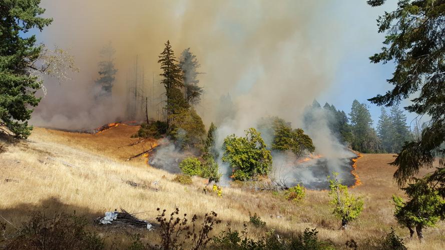 Cal Fire assists California State Parks with prescribed fire Oct. 27 ...