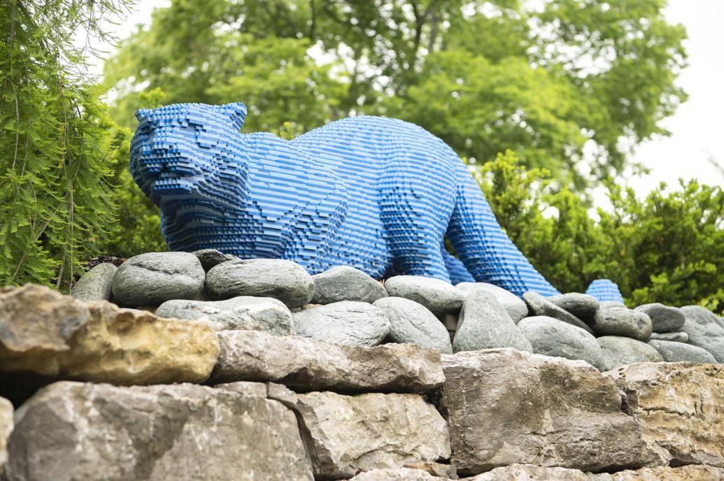 Colorful LEGO Sculptures Take Over Reid Park Zoo | Local ...